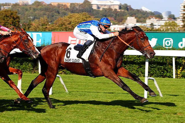 Vente d'Automne ARQANA : Wathnan Racing et les grandes puissances de l ...